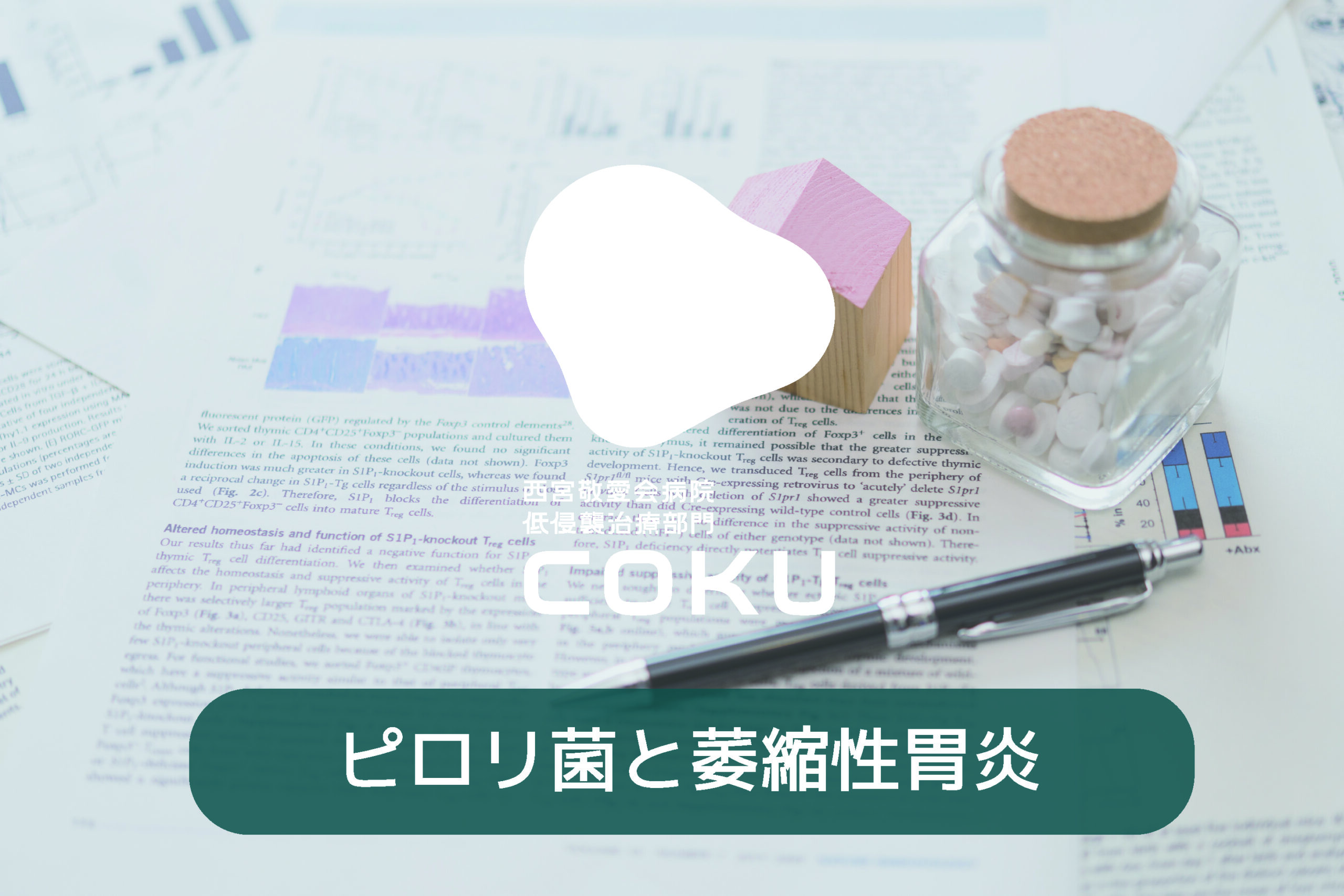 ピロリ菌と萎縮性胃炎について - 西宮敬愛会病院 COKU 鼠径ヘルニア・内視鏡センター