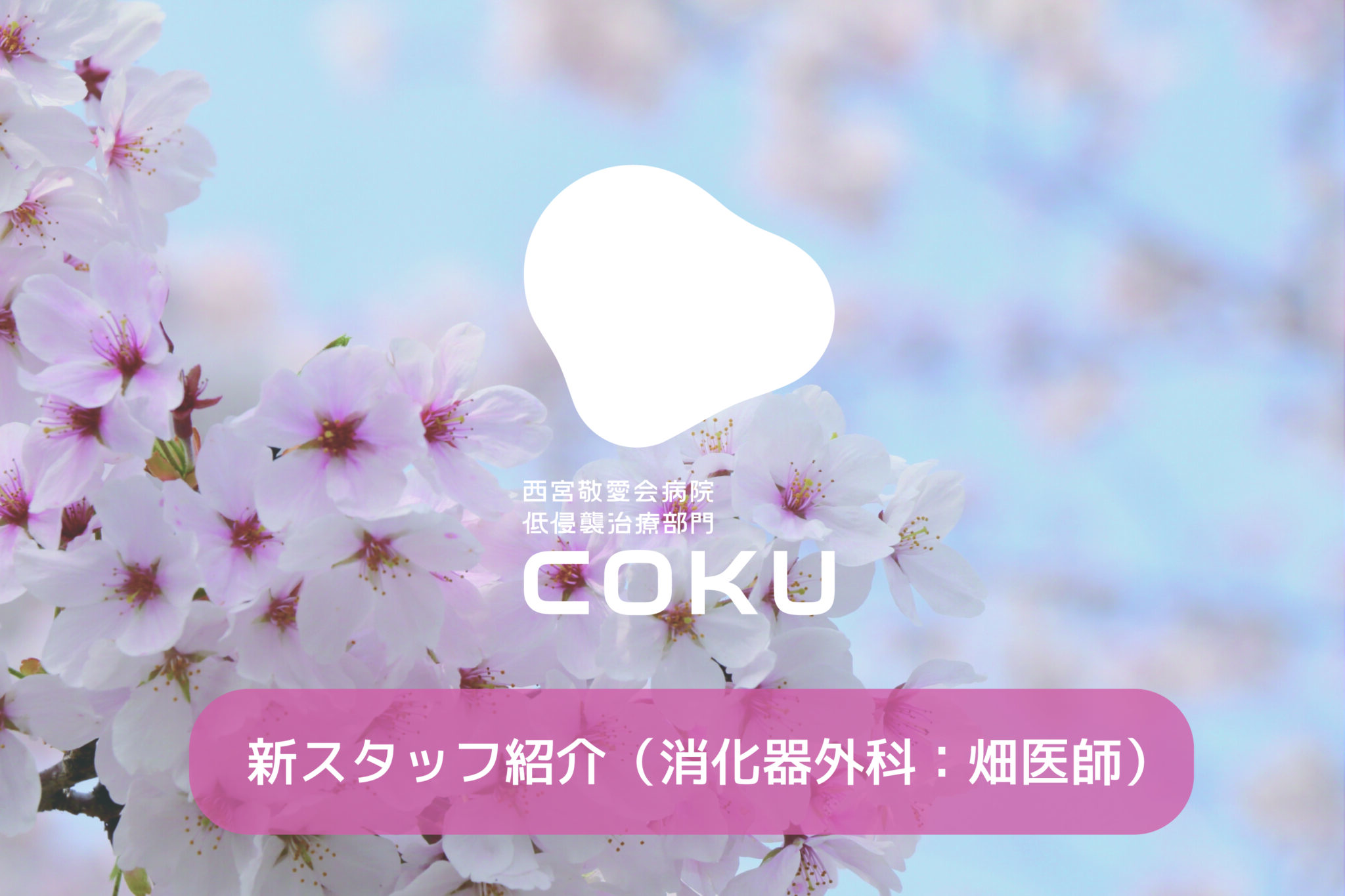 便秘症とその治療薬について - 西宮敬愛会病院 COKU 鼠径ヘルニア・内視鏡センター