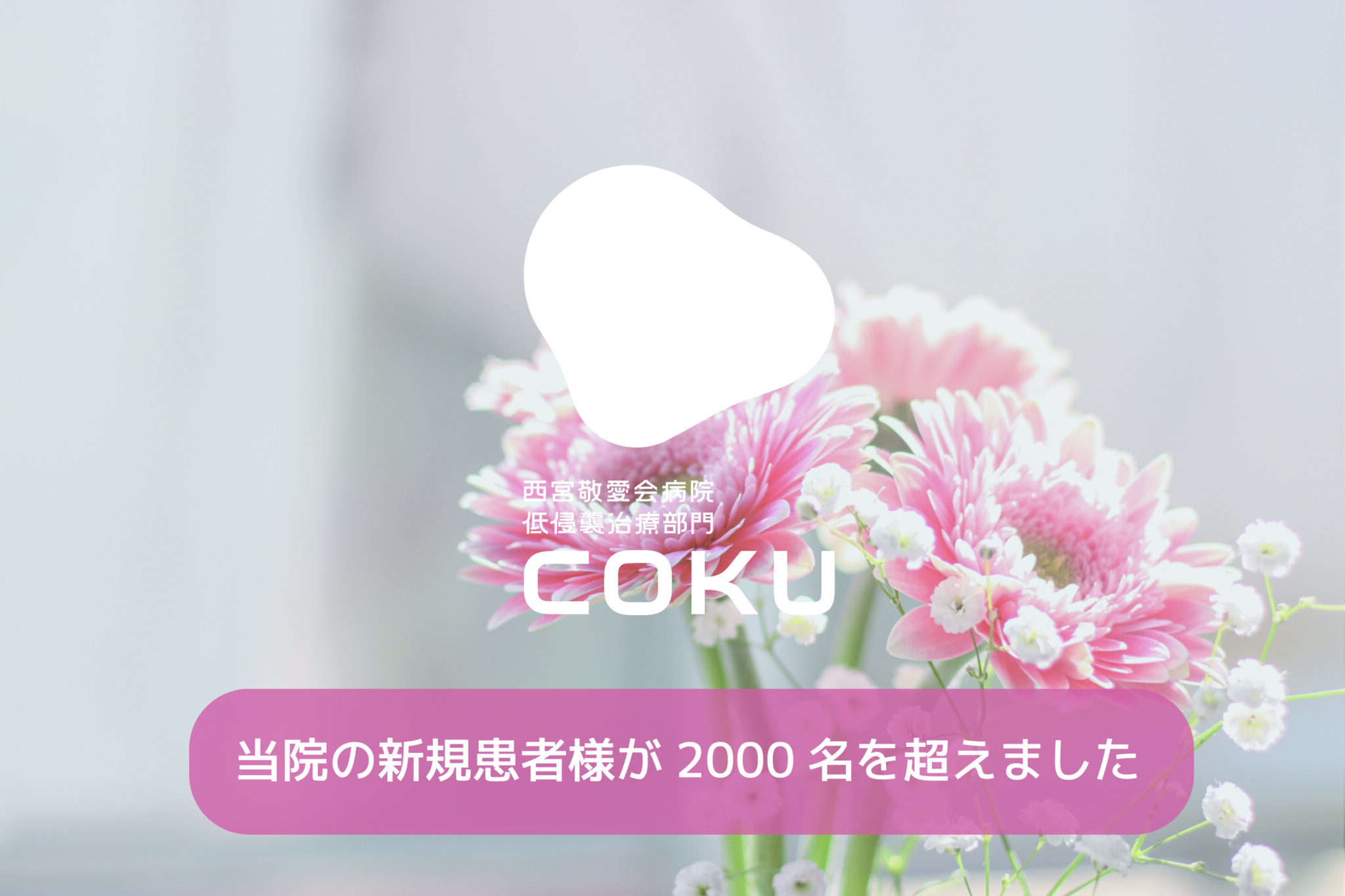 Nuck管水腫（ヌック管水腫）について - 西宮敬愛会病院 COKU 鼠径ヘルニア・内視鏡センター